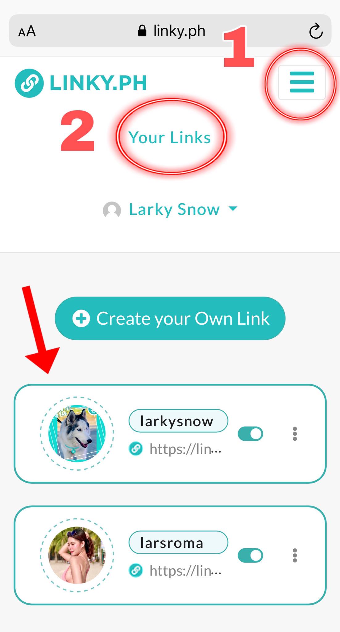 how-to-find-my-existing-linky-page-linky-ph-support